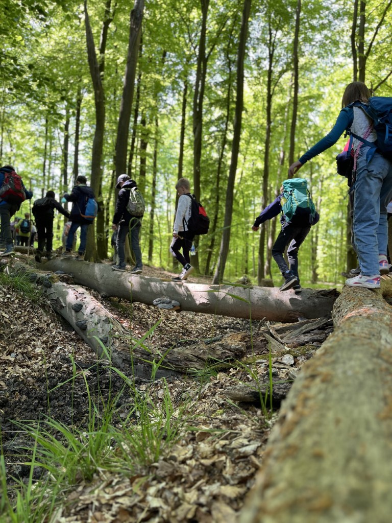 Die Eisbärenklasse im Waldcamp: Ein unvergessliches Abenteuer - Evangelische Schule Robert Lansemann